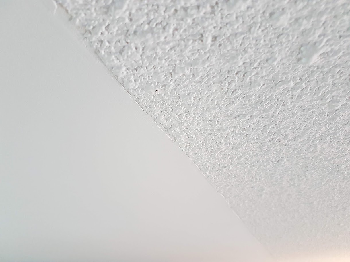 Ceiling Plaster Repair